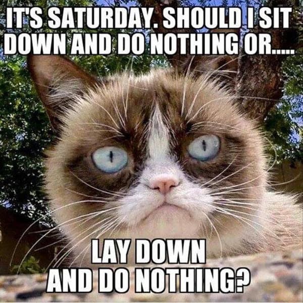 30 Saturday Memes To Make Your Weekend More Fun SayingImages