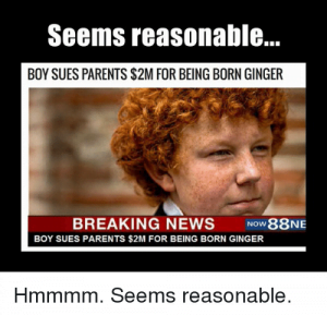 30 Ginger Memes That Are Way Too Witty - SayingImages.com