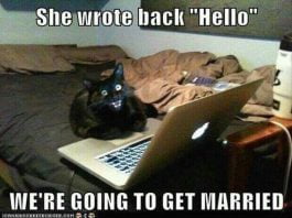 75 Funny Relationship Memes To Make Your Partner Laugh - SayingImages.com