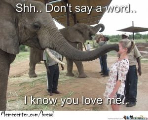 70 Funny I Love You Meme - SayingImages.com