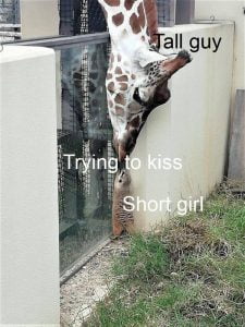 30 Memes That Short Girls Will Understand - SayingImages.com
