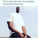 30 Memes That Short Girls Will Understand - SayingImages.com