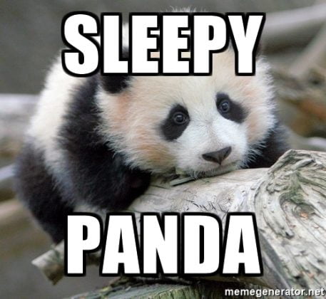 25 Best Sleepy Memes - SayingImages.com