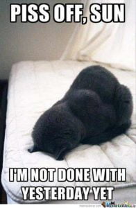 25 Best Sleepy Memes - SayingImages.com