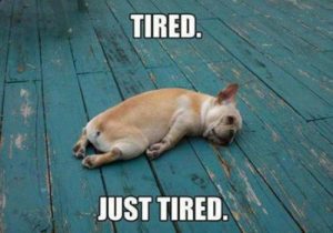 25 Best Sleepy Memes - SayingImages.com