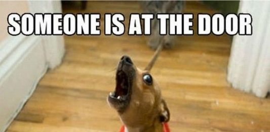 20 Hilarious Group Chat Memes You'll Find Too Familiar | SayingImages.com