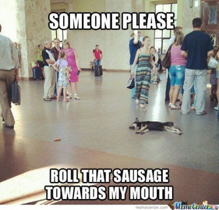 24 Lazy Memes to Make Your Day So Much Better - SayingImages.com