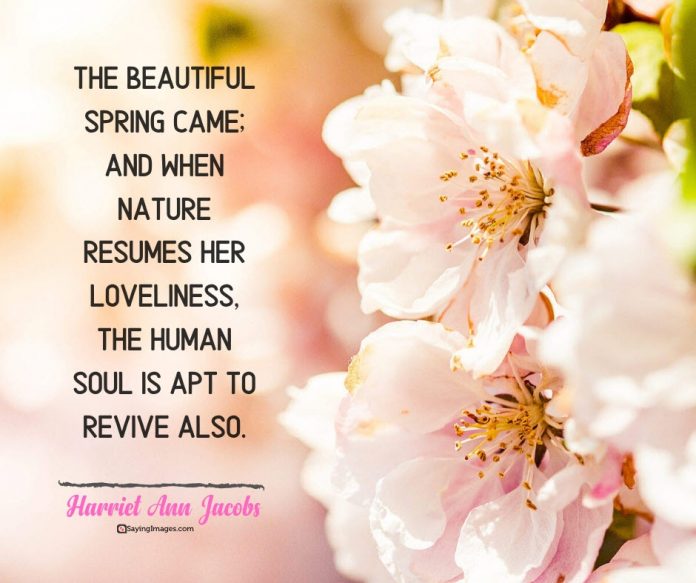 30 citations de printemps pour faire fleurir votre cœur | Creative Saplings