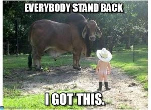 20 I Got This Memes For When You Are Feeling Extra Confident ...