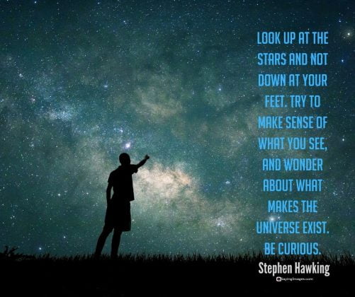 34 Star Quotes on Twinkling Lights and Joyful Dreams - SayingImages.com