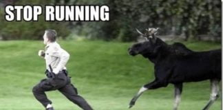 20 Inspirational Memes To Help You Reach Your Goals This 2018 ...