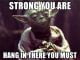 20 Hang In There Meme To Motivate You - SayingImages.com