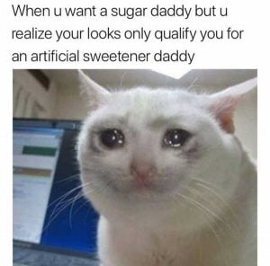20 Sugar Daddy Memes That Are Too Funny Not To Share - SayingImages.com