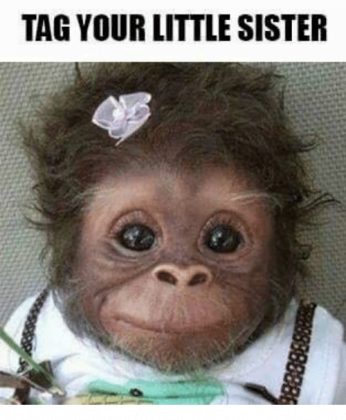 30 Totally Funny Sister Memes We Can All Relate To - SayingImages.com