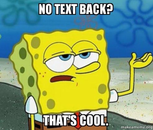 20 Relatable No Text Back Memes to Make You Feel a Lot Better ...