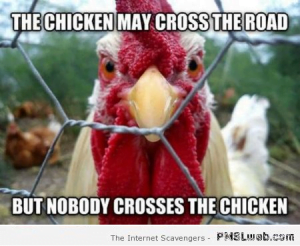 20 Chicken Memes That Are Surprisingly Funny - SayingImages.com