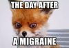 20 Witty Migraine Memes To Make You Feel A Lot Better - SayingImages.com