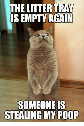 30 Poop Memes You Just Need to See Right Now - SayingImages.com