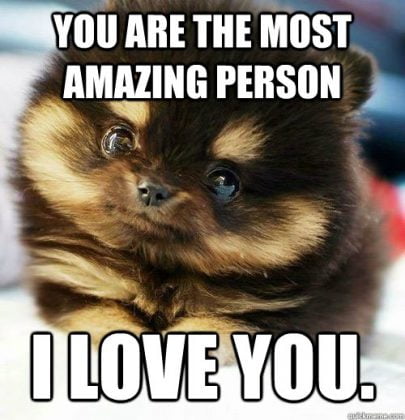 80 Love Memes You'll Be Really Happy to See - SayingImages.com