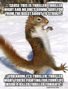 20 Squirrel Memes That Will Melt Your Heart - SayingImages.com