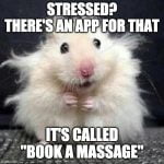 25 Massage Memes For Massage Enthusiasts - SayingImages.com