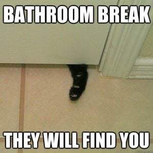 20 Hilarious Bathroom Memes That Are Awkwardly True - SayingImages.com