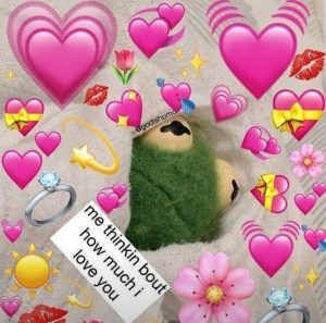 20 Cute And Adorable Uwu Memes - SayingImages.com