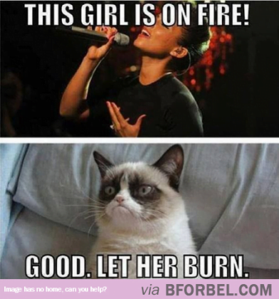 20 Really Hilarious Song Lyrics Memes to Make You Happy - SayingImages.com