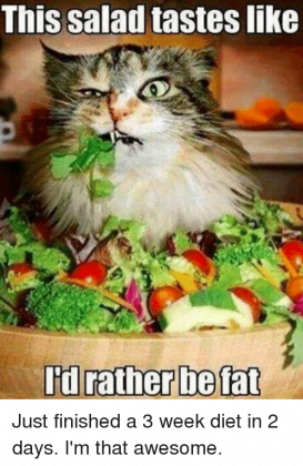 20 Funny Life Changing Eating Healthy Memes - SayingImages.com