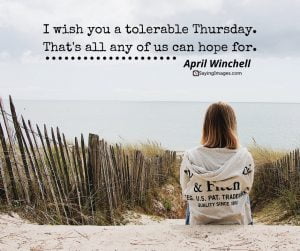 25 Motivational Thursday Quotes for a Thankful Day