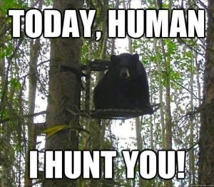 18 Funny Hunting Memes That Are Insanely Accurate - SayingImages.com