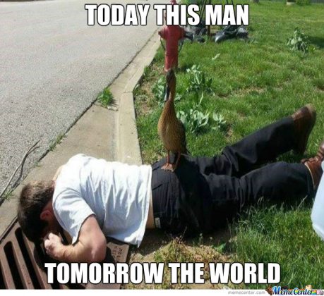 20 Totally Adorable Duck Memes You Won't Be Able To Resist ...