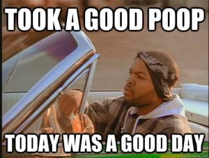 30 Poop Memes You Just Need to See Right Now - SayingImages.com