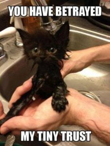 20 Funny Memes For Those Who Have Trust Issues - SayingImages.com