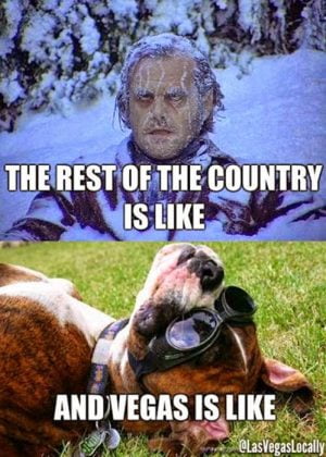 20 Vegas Memes You Should See If You Want A Good Laugh - SayingImages.com