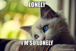 30 Lonely Memes to Make You Feel Less Alone - SayingImages.com