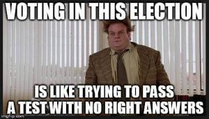 30 Voting Memes to Remind You to Exercise Your Rights - SayingImages.com