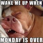 25 Best Sleepy Memes - SayingImages.com