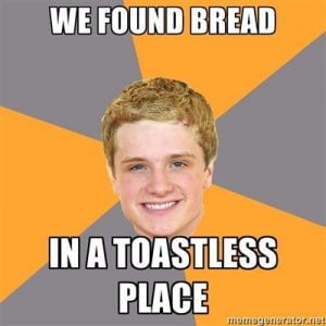 20 Hunger Games Memes That Only Fans Will Understand - SayingImages.com