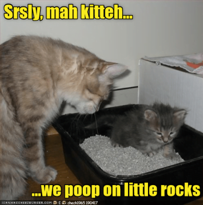 30 Poop Memes You Just Need to See Right Now - SayingImages.com