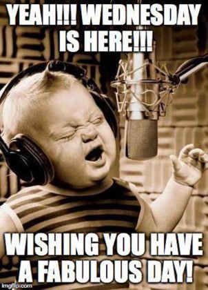 30 Really Funny Wednesday Memes to Get You Through The Week ...