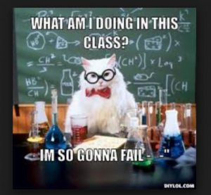 20 Fail Memes to Keep You in a Good Mood - SayingImages.com