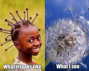 30 Bad Haircut Memes To Make You Laugh - SayingImages.com