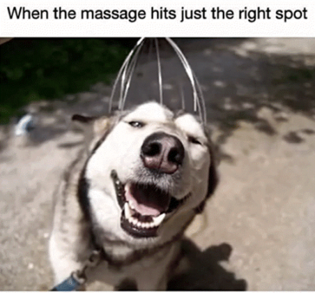25 Massage Memes For Massage Enthusiasts - SayingImages.com