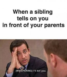 30 Funny Brother Memes To Troll Your Sibling With - SayingImages.com