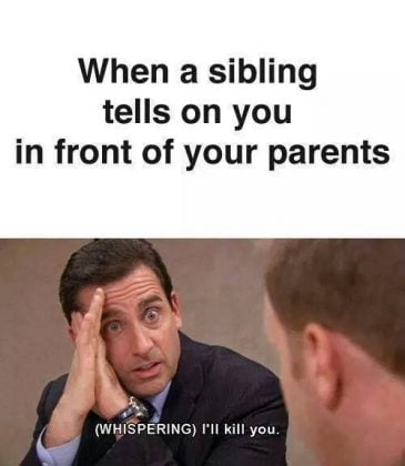 30 Funny Brother Memes To Troll Your Sibling With - SayingImages.com