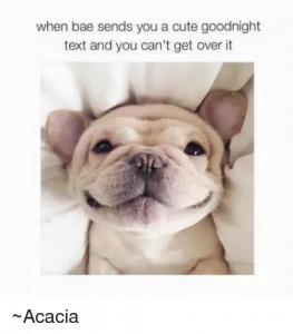 50 Cutest Goodnight Memes - SayingImages.com
