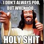30 Poop Memes You Just Need to See Right Now - SayingImages.com