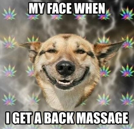 25 Massage Memes For Massage Enthusiasts - SayingImages.com