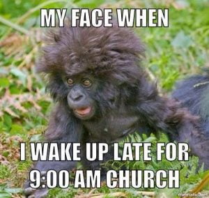 25 Funny Monkey Memes You'll Totally Fall In Love With - SayingImages.com